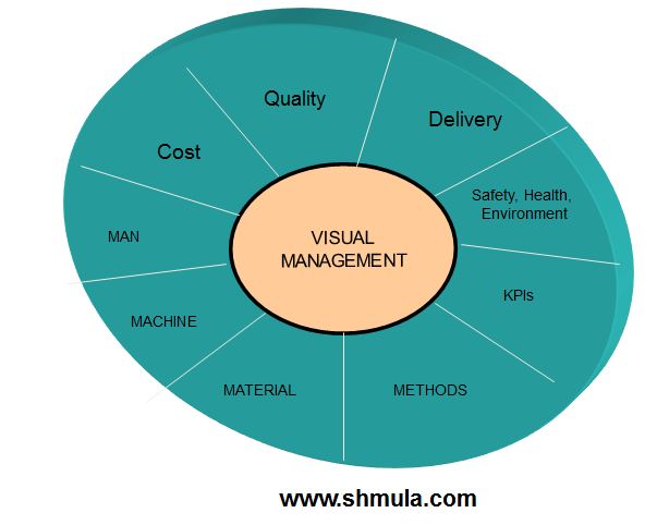 What's in it for me: Why Do Visual Management