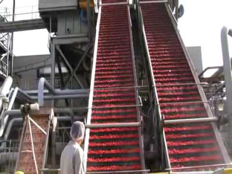 Heinz Factory Tour [video]